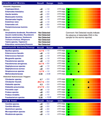 Complete Microbiome GI Map Test Australia - Fairfield Nutrition Shop